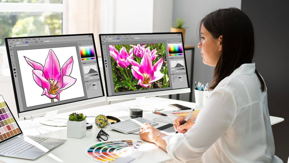 Corso online Graphic Designer | Certificazione MIUR