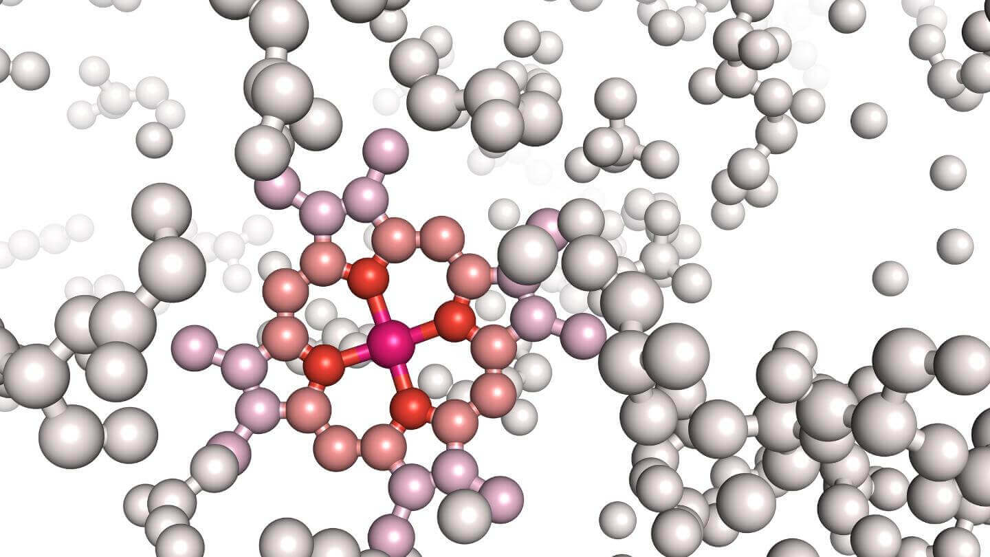 Proteine ed enzimi: ecco una guida sulle loro strutture e funzioni