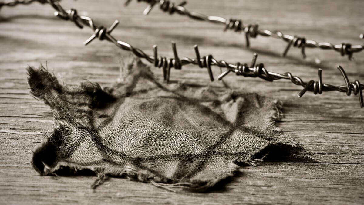 Hitler e la nascita del nazismo: come si è affermato il regime