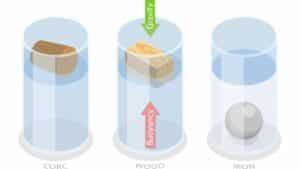 Principio di Archimede: cosa afferma e come funziona nel pratico