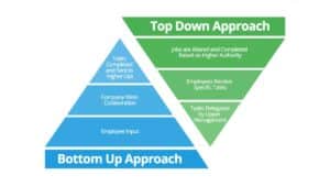Top down e bottom up: strategie a confronto