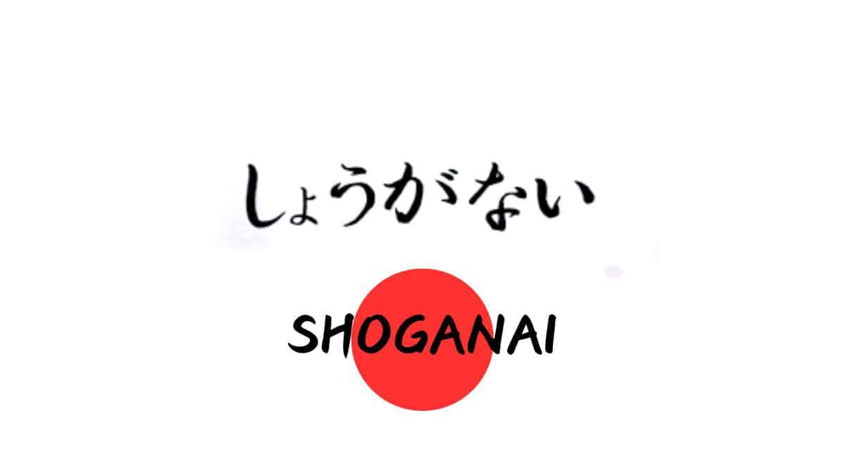 Shoganai, l’insegnamento giapponese per smettere di preoccuparsi